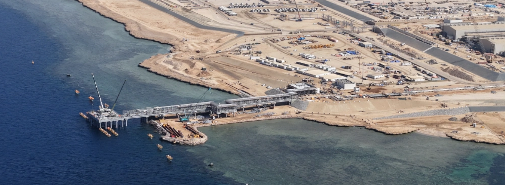 NEOM green hydrogen project hits 80% construction milestone, targets ...